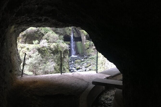 Levada do Moinho and Levada Nova - Private - Introduction: Why This Tour Might Be Perfect for You