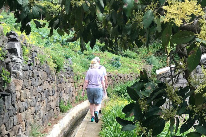 Levada do Moinho and Levada Nova - Private - Why the Guide Matters: Expertise and Local Knowledge