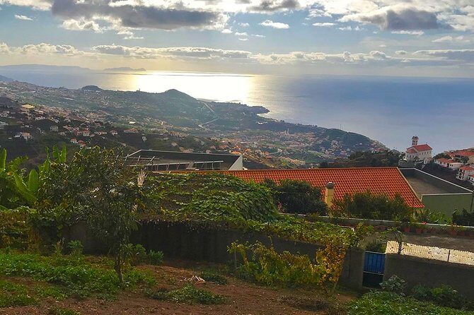 Levada do Norte - Walking Tour - Authentic Experiences and What Reviewers Say