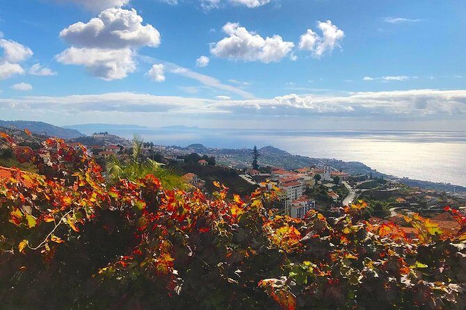 Levada do Norte - Walking Tour - Transportation, Group Size, and Practicalities