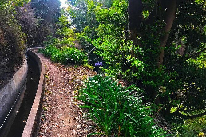 Levada do Norte - Walking Tour - The Sum Up: Is This Tour Worth It?