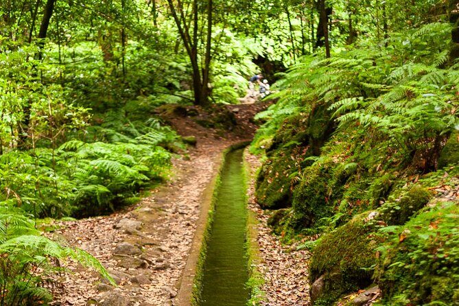 Levada do Rei PR18 Scenic Hike in Madeira with Transfer Service - Why Choose the Levada do Rei PR18 Scenic Hike?
