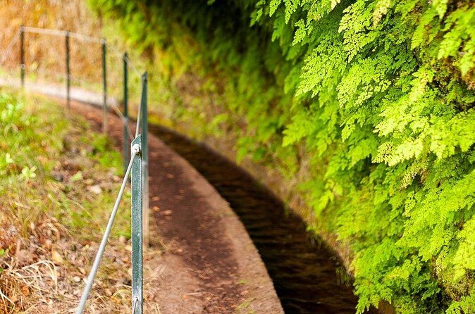 Levada do Rei PR18 Scenic Hike in Madeira with Transfer Service - Final Thoughts