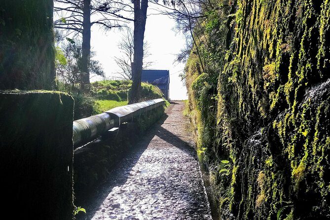 Levada & Waterfalls Hike 25 Fountains, Rabaçal, Risco more Challenging Walk - The Sum Up