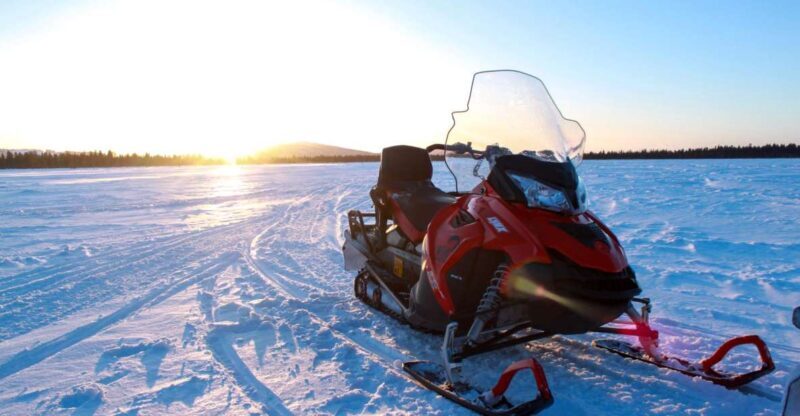 Levi: 3 Hour Snowmobile Safari Around Levi with Coffee Break - Key Points