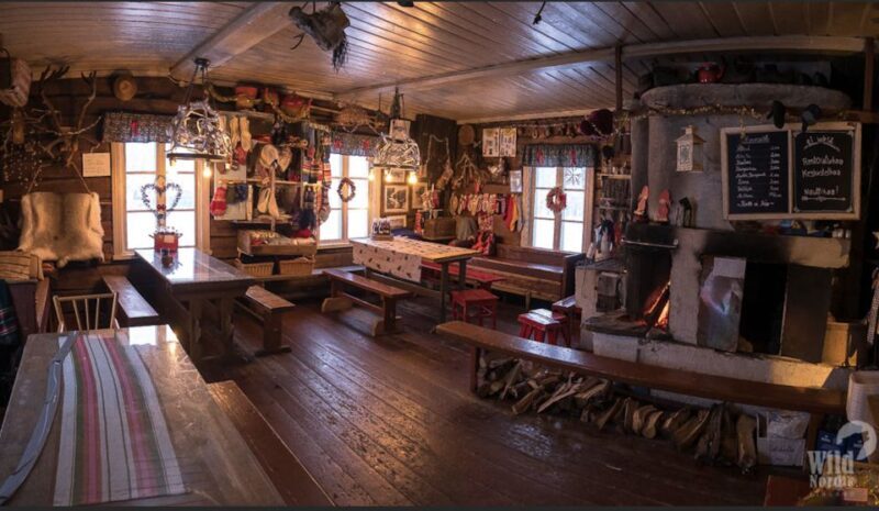 Levi: 3 Hour Snowmobile Safari Around Levi with Coffee Break - Practical Tips and Considerations