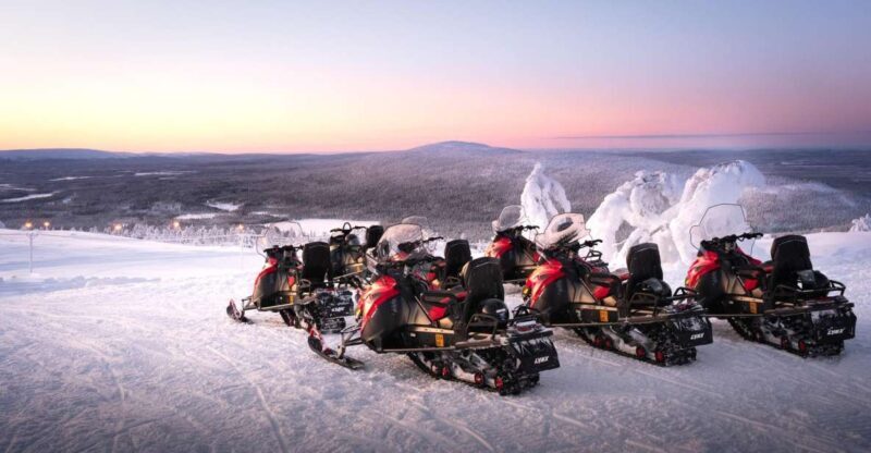 Levi: 4 Hour Snowmobile Safari to the Fells in Levi - Who Should Consider This Tour?