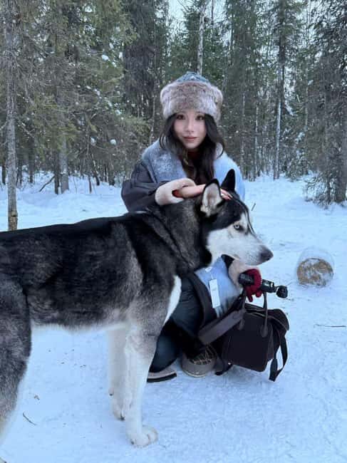 Levi: 5 Km Husky Sledding Ride in Levi - Authenticity and Ethical Animal Care