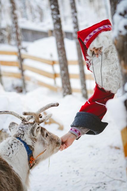 Levi: Arcandia, The Elf Court/Daylight & Park Side/Darkness - Reviews and Real Experiences