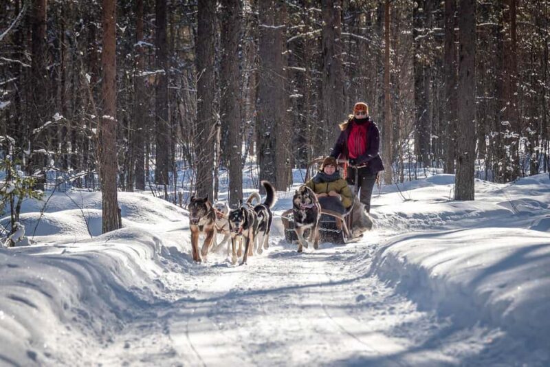 Levi: Arctic Combo  Husky & Reindeer Ride - Who Should Consider This Tour?  
