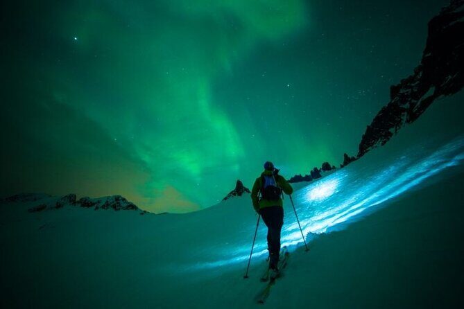 Levi: Aurora Borealis Tour and Stargazing Experience - Who Should Book This Tour?