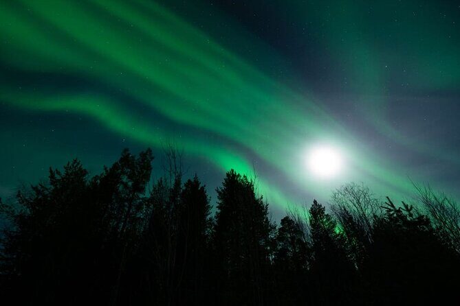 Levi: Aurora Borealis Tour and Stargazing Experience - Frequently Asked Questions