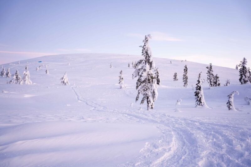 Levi: Backcountry Skiing Adventure - Frequently Asked Questions
