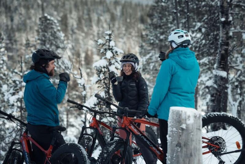 Levi: E-Fatbike Adventure in Snowy Forest - Key Points