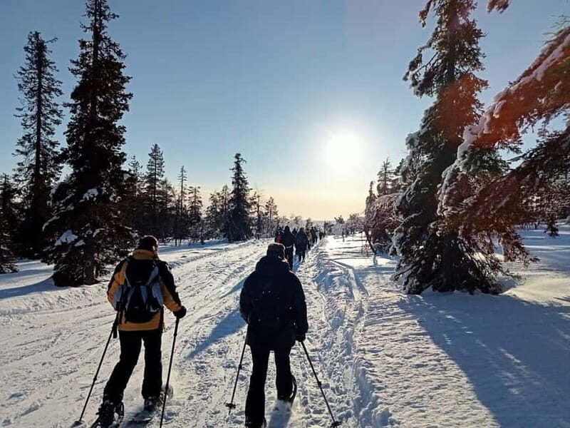 Levi: Evening Snowshoe Walk Under Northern Sky - What’s Included and What to Expect