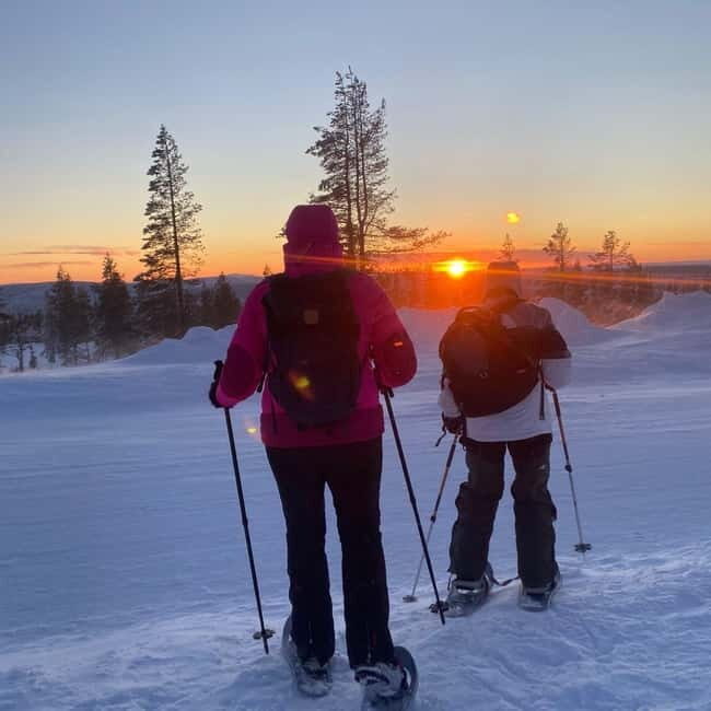 Levi: Evening Snowshoe Walk Under Northern Sky - Practical Details and Considerations