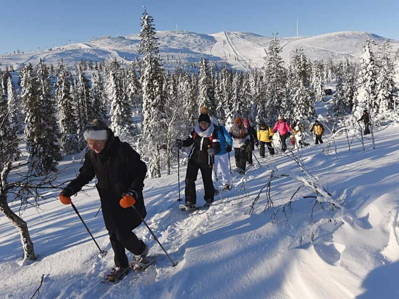 Levi: Evening Snowshoe Walk Under Northern Sky - Authentic Insights from Travelers