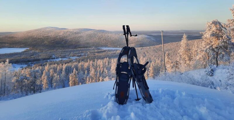 Levi: Gentle Snowshoe Walk in Winter Wilderness - An In-Depth Look at the Snowshoe Walk Experience