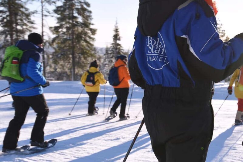 Levi: Gentle Snowshoe Walk in Winter Wilderness - Authentic Insights from Past Travelers