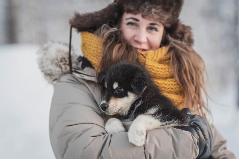Levi: Horse and Husky Farm Visit with Juice and Cookies - An Authentic Lapland Experience in a Forest Setting