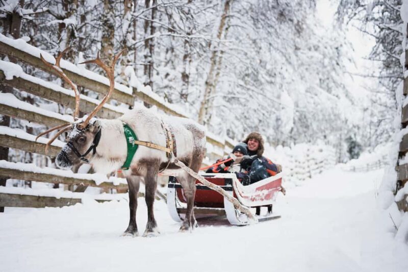 Levi: Husky and Reindeer Farm Tour with Sled Ride - Who Is This Tour Best For?