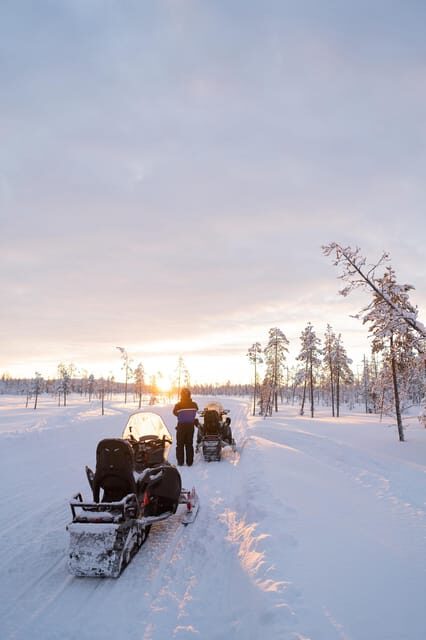 Levi: Husky and Reindeer Farm Visit with Snowmobiling - What Reviewers Loved Most