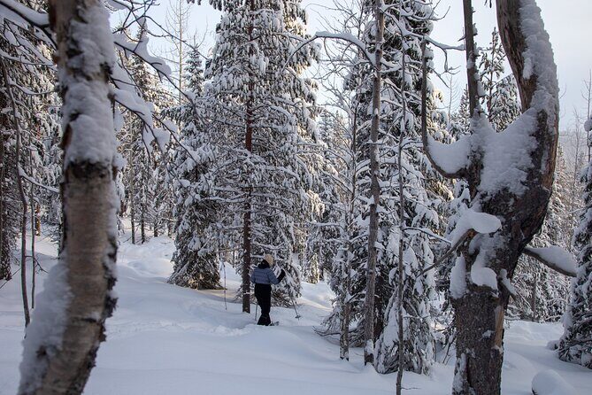 Levi: Lakeside forest snowshoeing - An Authentic Snowshoeing Experience in Levi