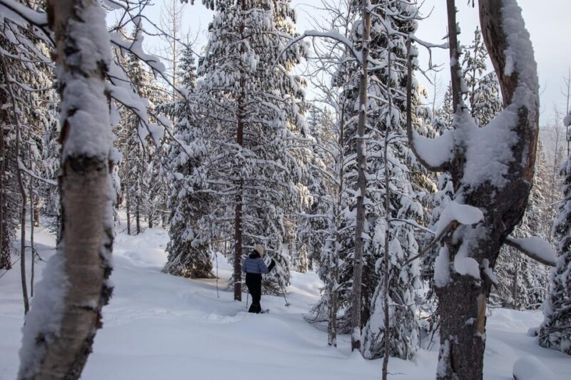 Levi: Lakeside forest snowshoeing - Walking Through Snowy Forests