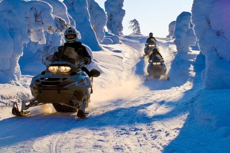 Levi: Lapland Family Snowmobile Safari - What to Expect from the Snowmobile Safari