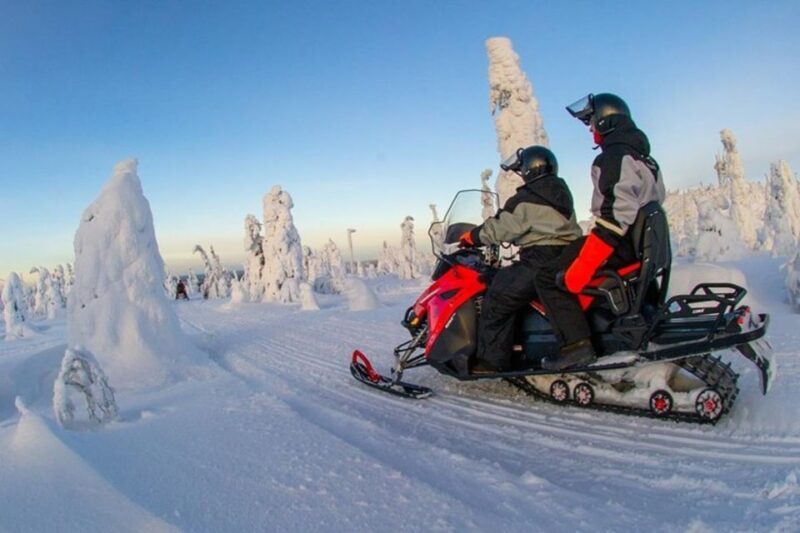 Levi: Lapland Family Snowmobile Safari - Why This Tour Is Worth It