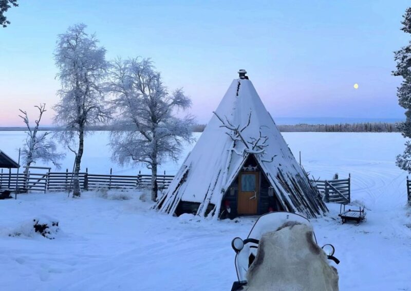 Levi: Lapland Reindeer Safari - An In-Depth Look at the Levi Lapland Reindeer Safari