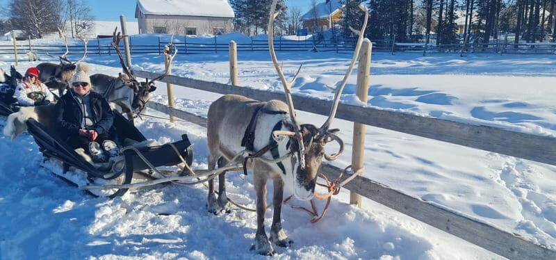 Levi: Lappish Reindeer Sled Ride 3 km - Who Will Love This Tour?