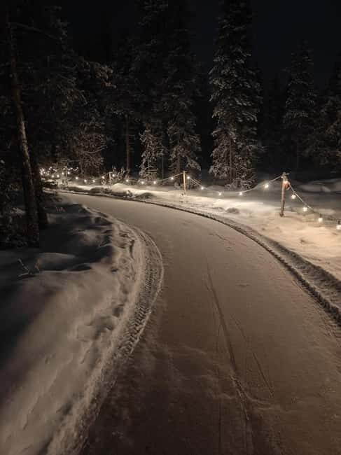 Levi: Lovimainas Arctic Forest Ice Skating (1km) - Skating for All Skill Levels