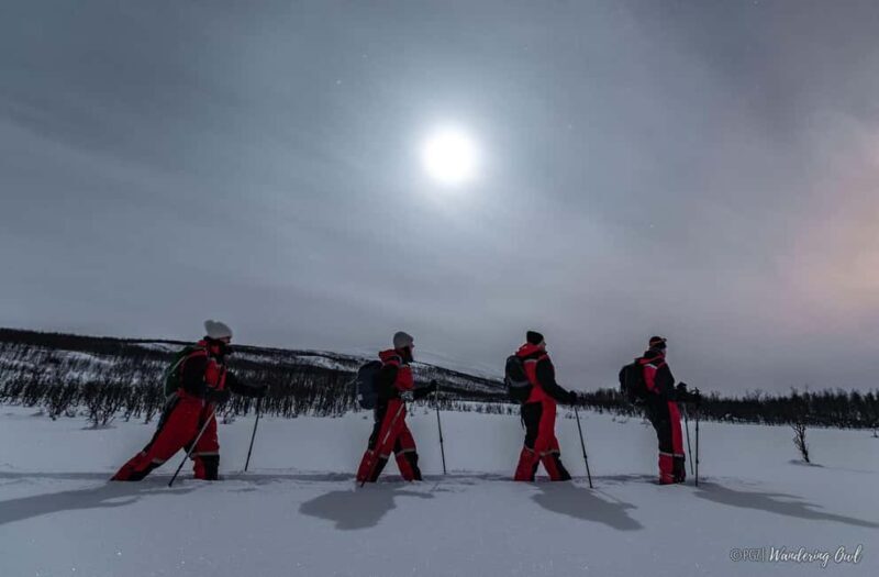 LEVI Night Star Walk on Snowshoes (ALL INCLUDED) - Key Points