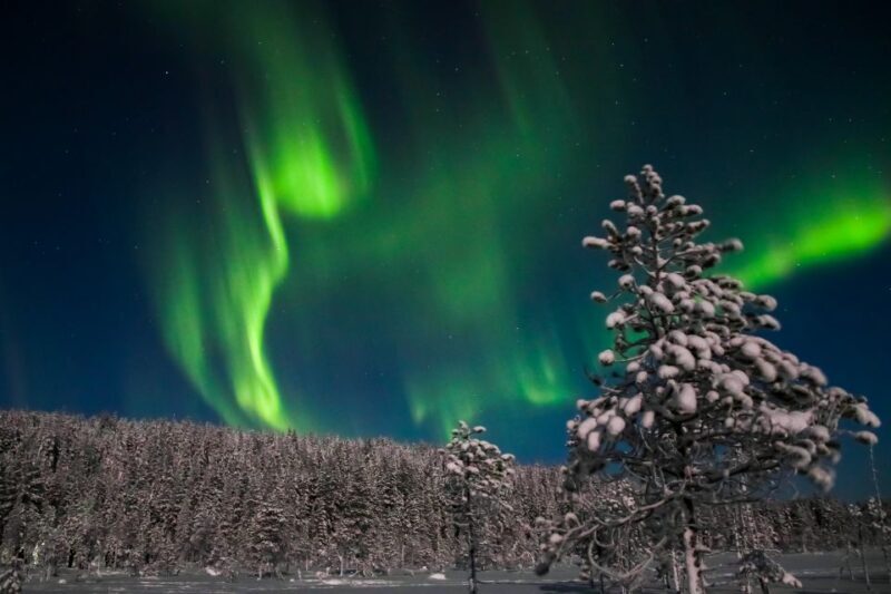 Levi: Northern Lights Campfire - What to Expect from the Levi Northern Lights Campfire Tour