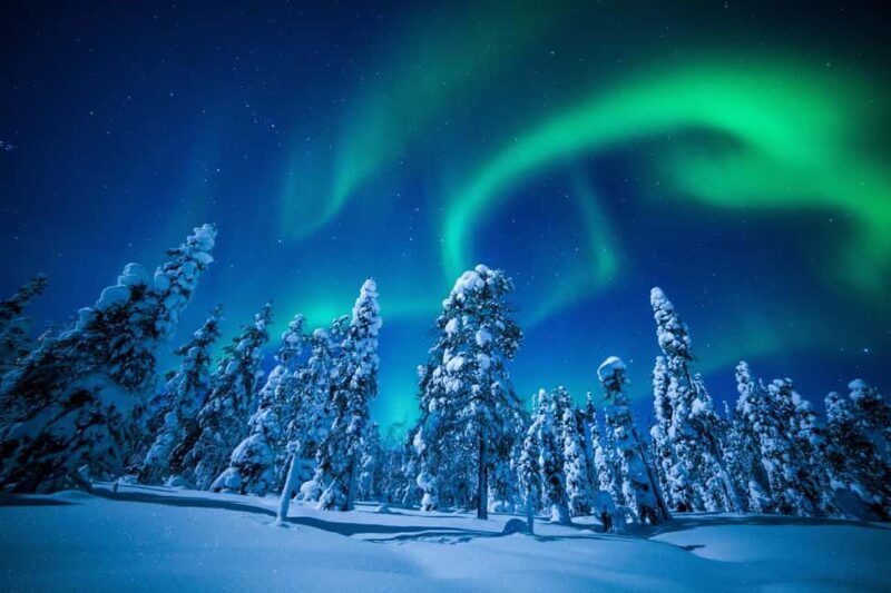 Levi: Northern Lights Hunt with Hot Drink - The Value of This Tour