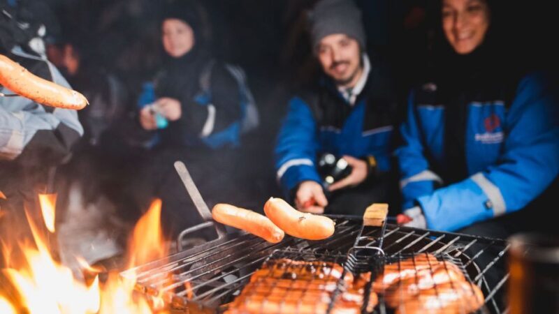 Levi: Northern Lights Snowmobile Tour with Snacks and Drinks - Key Points  