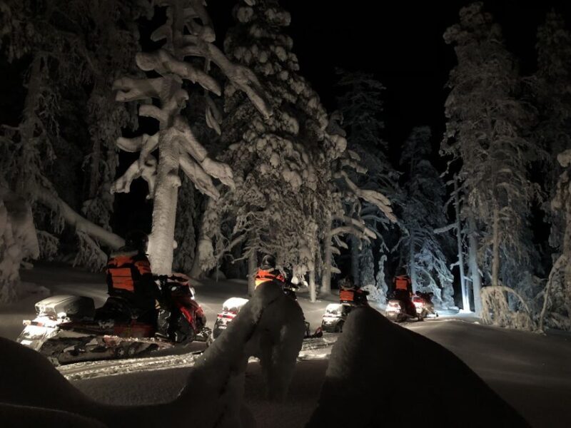 Levi: Northern Lights Snowmobile Tour with Snacks and Drinks - Practical Tips for Your Trip