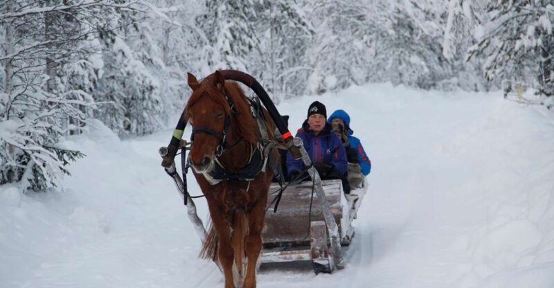 Levi: One Horse Open Sleigh Ride - An Authentic Arctic Ride Through the Snowy Wilderness