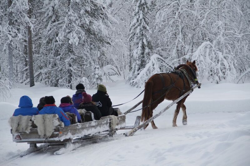 Levi: One Horse Open Sleigh Ride - The Everything You Need to Know