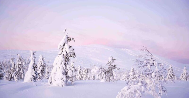 Levi: Pallas National Park Adventure with Pro Photos & BBQ - Levi: Pallas National Park Adventure with Pro Photos & BBQ — An In-Depth Review