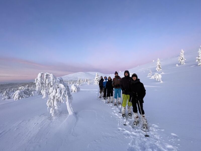 Levi: Pallas-Yllästunturi National Park Snowshoeing Tour - An In-Depth Look at the Snowshoeing Experience