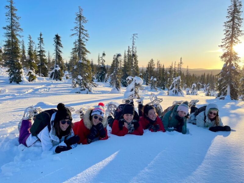 Levi: Pallas-Yllästunturi National Park Snowshoeing Tour - Practical Details: What You Need to Know