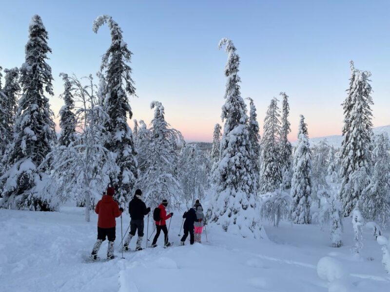Levi: Pallas-Yllästunturi National Park Snowshoeing Tour - Who Will Love This Tour?