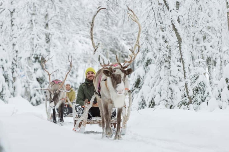 Levi: Reindeer Experience with Sled Ride - Key Points
