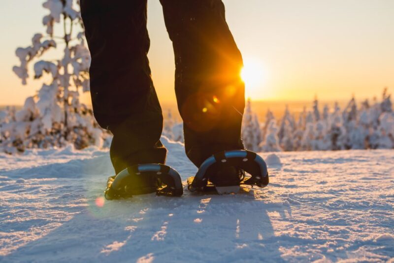 Levi: Scenic Levi Snowshoe Trip - What Makes This Tour Special?