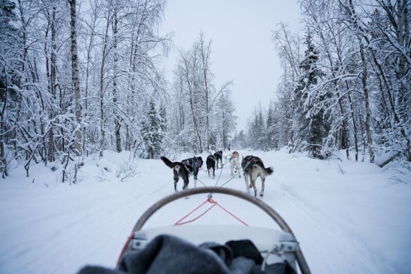 Levi: Self-Drive Guided Husky Tour - Frequently Asked Questions