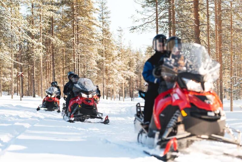 Levi: Snowmobile Safari to the Levi Nature - Introduction: A Scenic Arctic Adventure