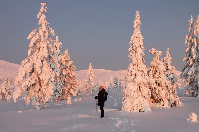 Levi: Snowshoeing adventure in the National Park - A Close Look at the Snowshoeing Experience