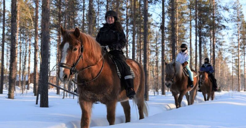 Levi: Snowy Forest Ride and Polar Lights Tours - Why You’ll Love This Tour